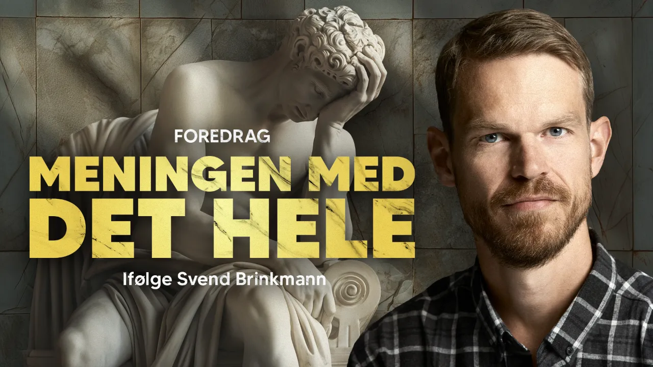 Svend Brinkmann - Meningen med det hele - Tour